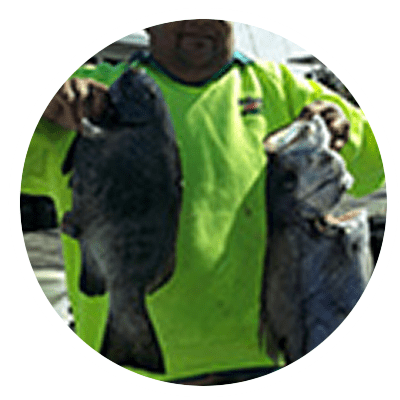 DRUMMER & MOSES SNAPPER (PERCH) - Deep End Fishing